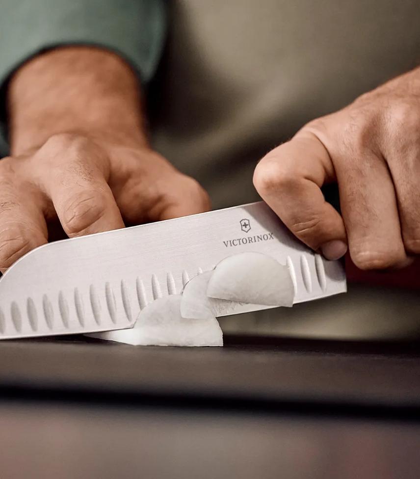 Swiss Classic과 Fibrox 비교 | Victorinox 대한민국